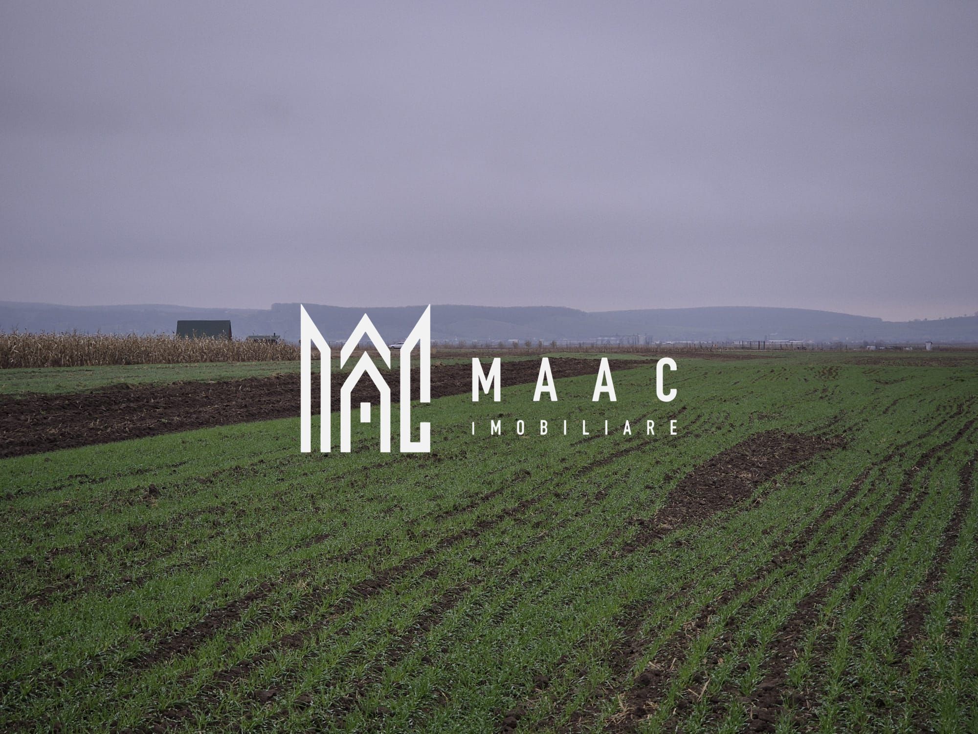 Out-of-town land | The Mouth of the River | 2250 MP - Gura Raului ...