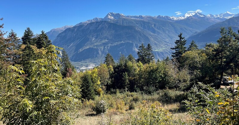 1 Land Plot for Sale in 3975 Crans-Montana | Properstar