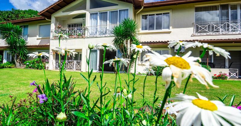 Appartement en appartement au rez-de-chaussée à Alto Lino, Boquete ...