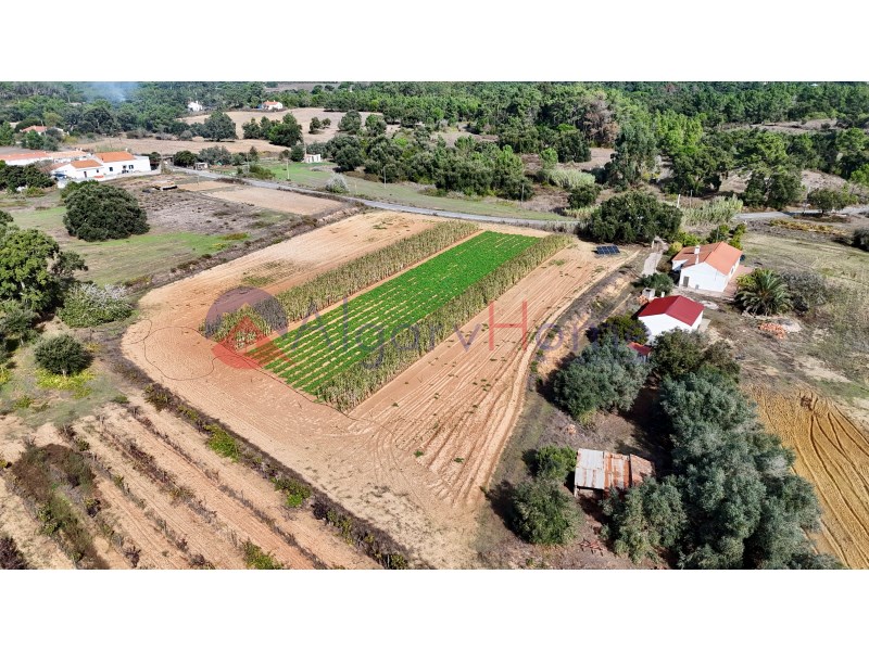 Terreno Rústico na Costa Vicentina - Rogil - Rogil - Exploração ...