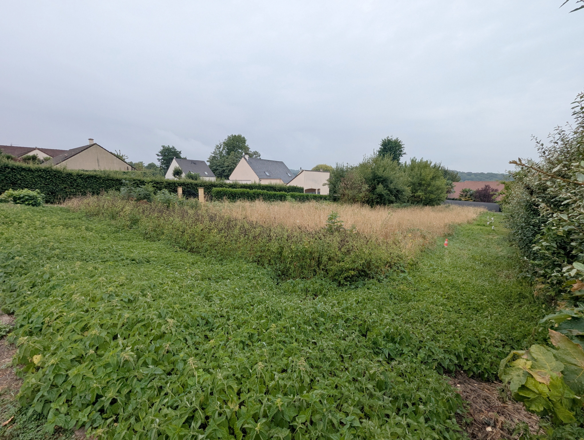 BUILDABLE LAND - 77210 Samoreau - Agricultural exploitation for sale ...