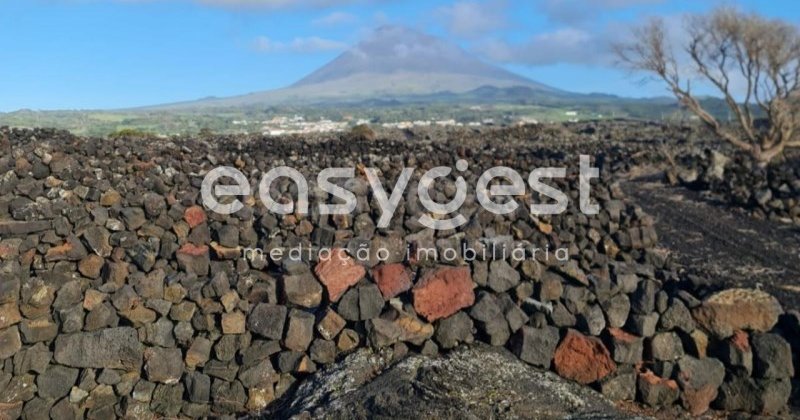 4 Agricultural exploitations for Sale in Madalena | Properstar