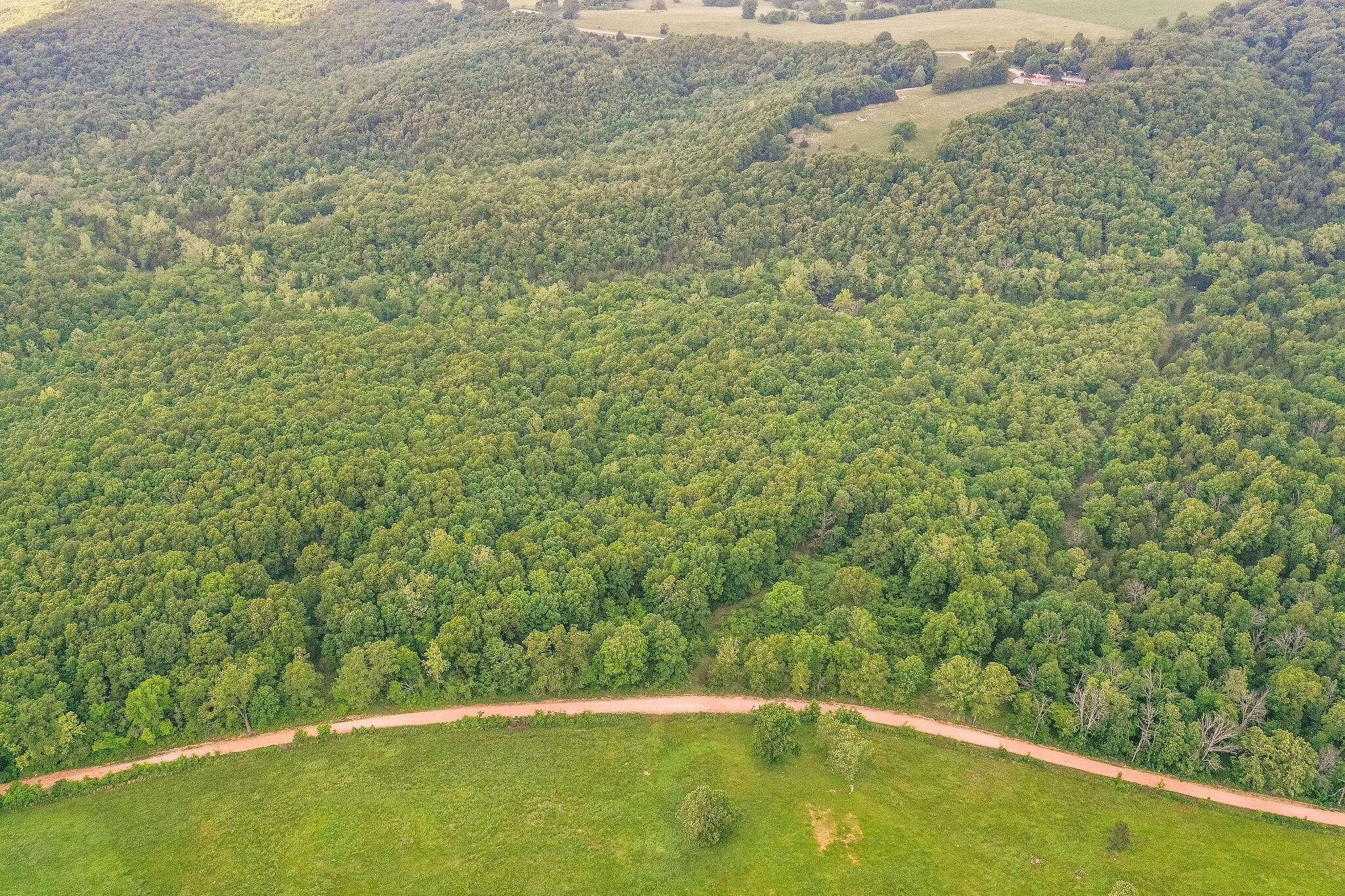 Land, Drury, MO - County Road 95-246, Douglas, MO, 65638 Drury - Plot ...