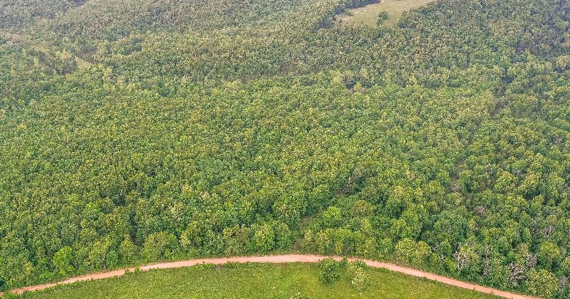 Land, Drury, MO - County Road 95-246, Douglas, MO, 65638 Drury - Plot ...