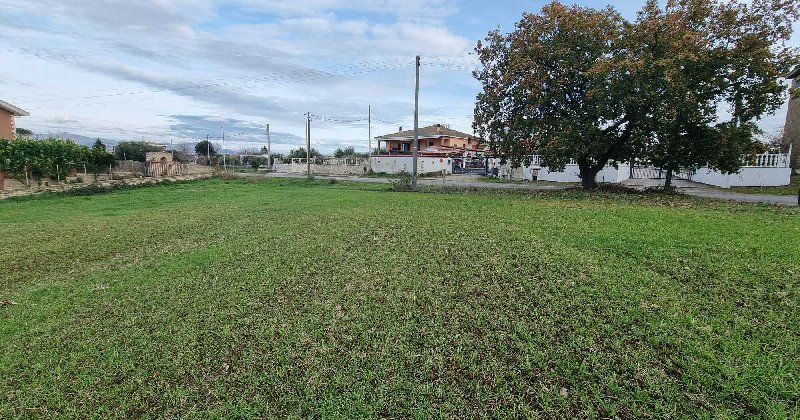 2 Agricultural exploitations for Sale in Montagnano | Properstar
