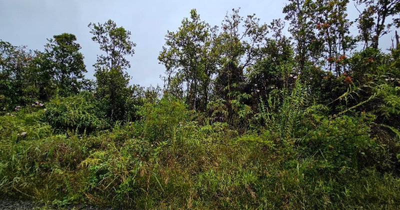 27 immobilien zum Verkauf - Fern Forest | Properstar DE