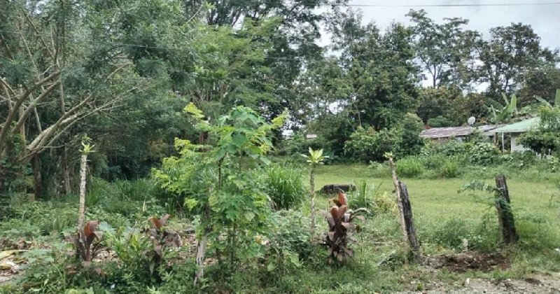 Large Lot for Development - Londres, 60601 Naranjito - Plot of land for ...