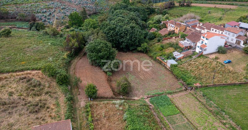 273 Terrains à vendre - Açores | Properstar FR