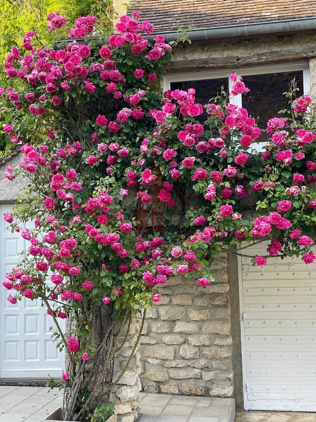 SOUTH FONTAINEBLEAU - VILLAGE OF CHARACTER - CHARMING RESIDENCE 361M² ...