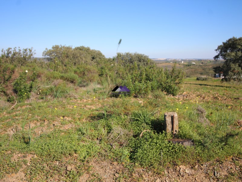 Rustic Land | 34,000 m² | Corga da Madeira - Junqueira, Castro Marim ...