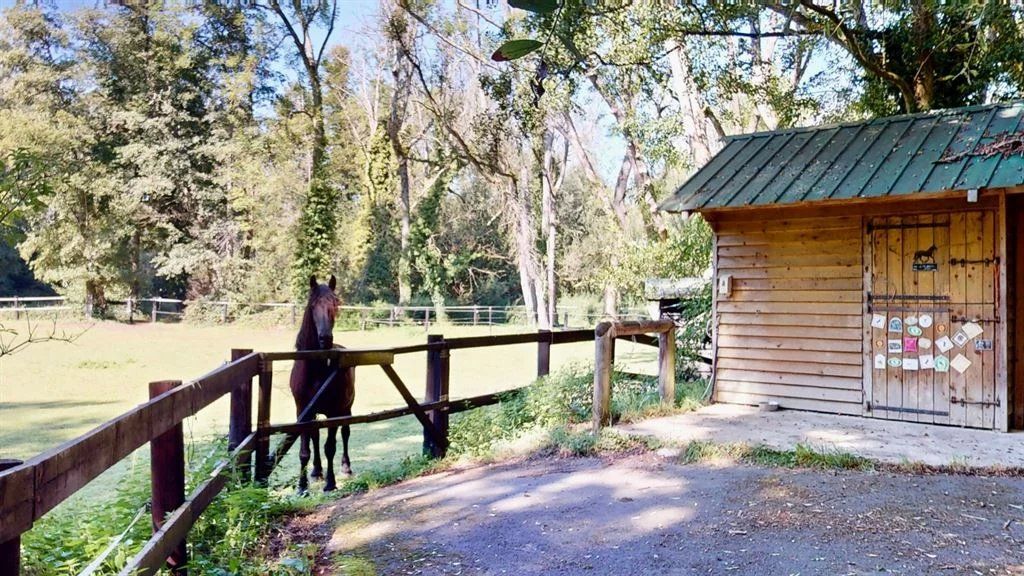 78730 ROCHEFORT-EN-YVELINES - 9 beds house for sale - Properstar