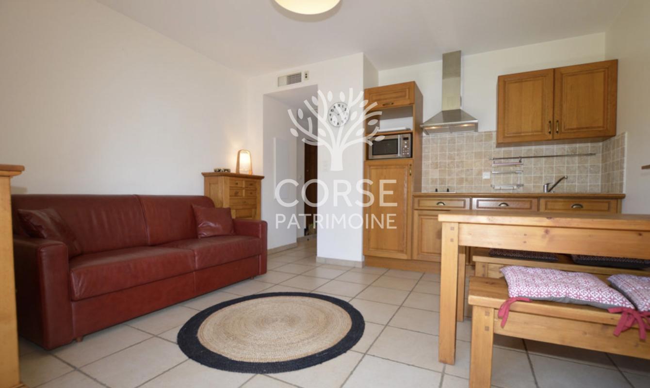 NICE STUDIO IN THE HEART OF PROPRIANO - 20110 CORSE-DU-SUD - 20110 ...