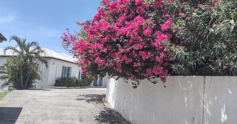 RH-325 2 Bed 2 Bath Fully Furnished Apartment, Cane Garden Bay ...