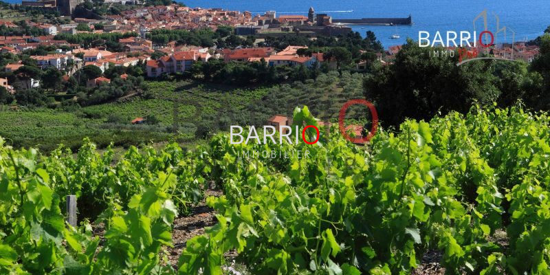 1 1+ Zimmer Haus kaufen in Collioure | Properstar CH