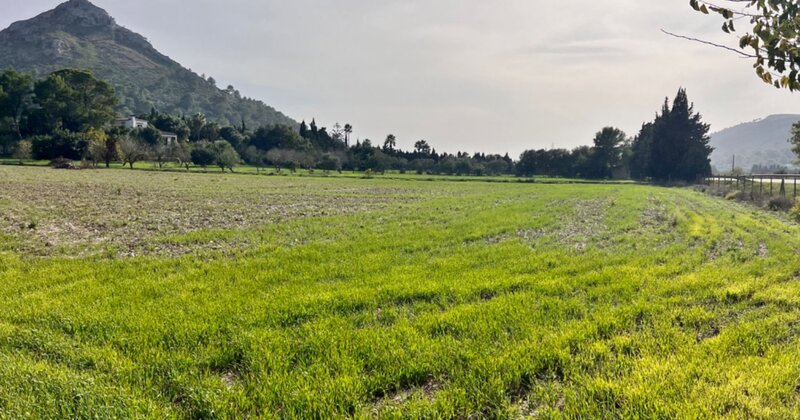 137 Maisons à vendre à petit prix - Alcúdia | Properstar