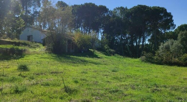 262 Propriétés à vendre - Tábua | Properstar