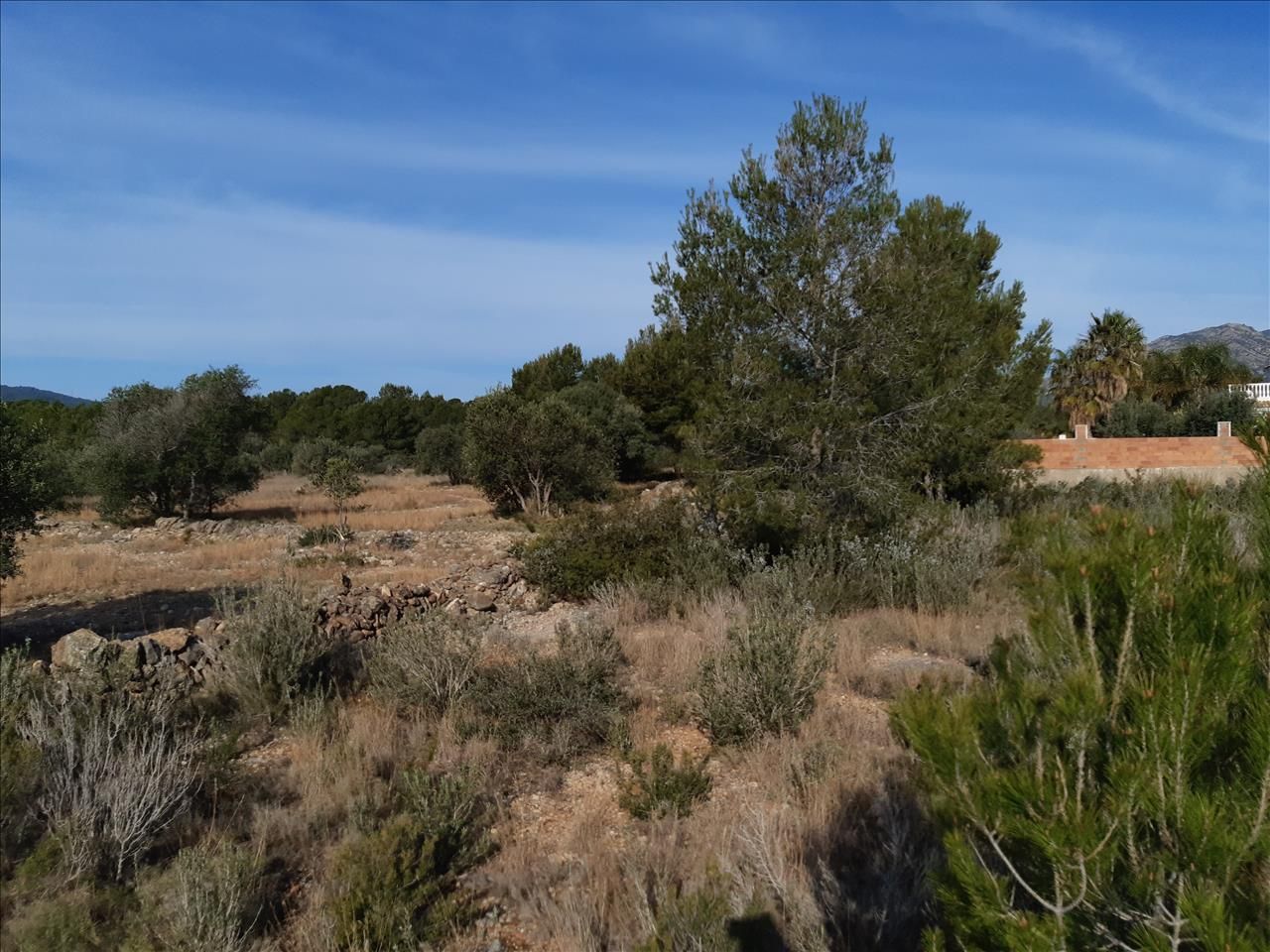 43892 Mont-roig del Camp - Plot of land for sale - Properstar