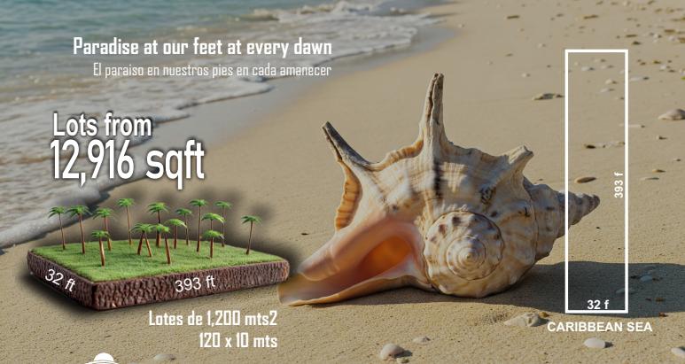 FOR SALE MAHAHUAL LAND, BEACHFRONT OF 1,200MTS2 - Quintana Roo, Othón P ...