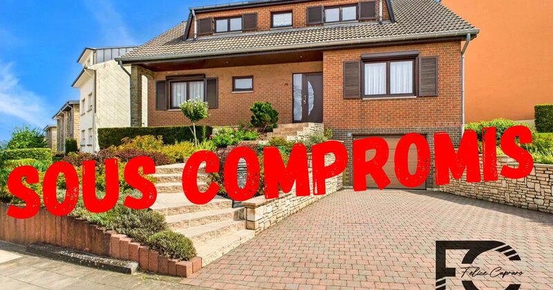 8 Maisons avec terrasse à vendre - Esch-sur-Alzette | Properstar