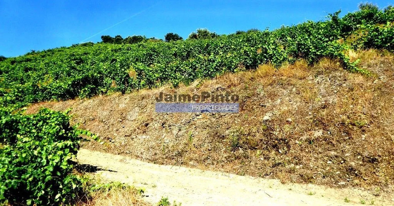 Vila Real, Pinhão - House for sale - Properstar