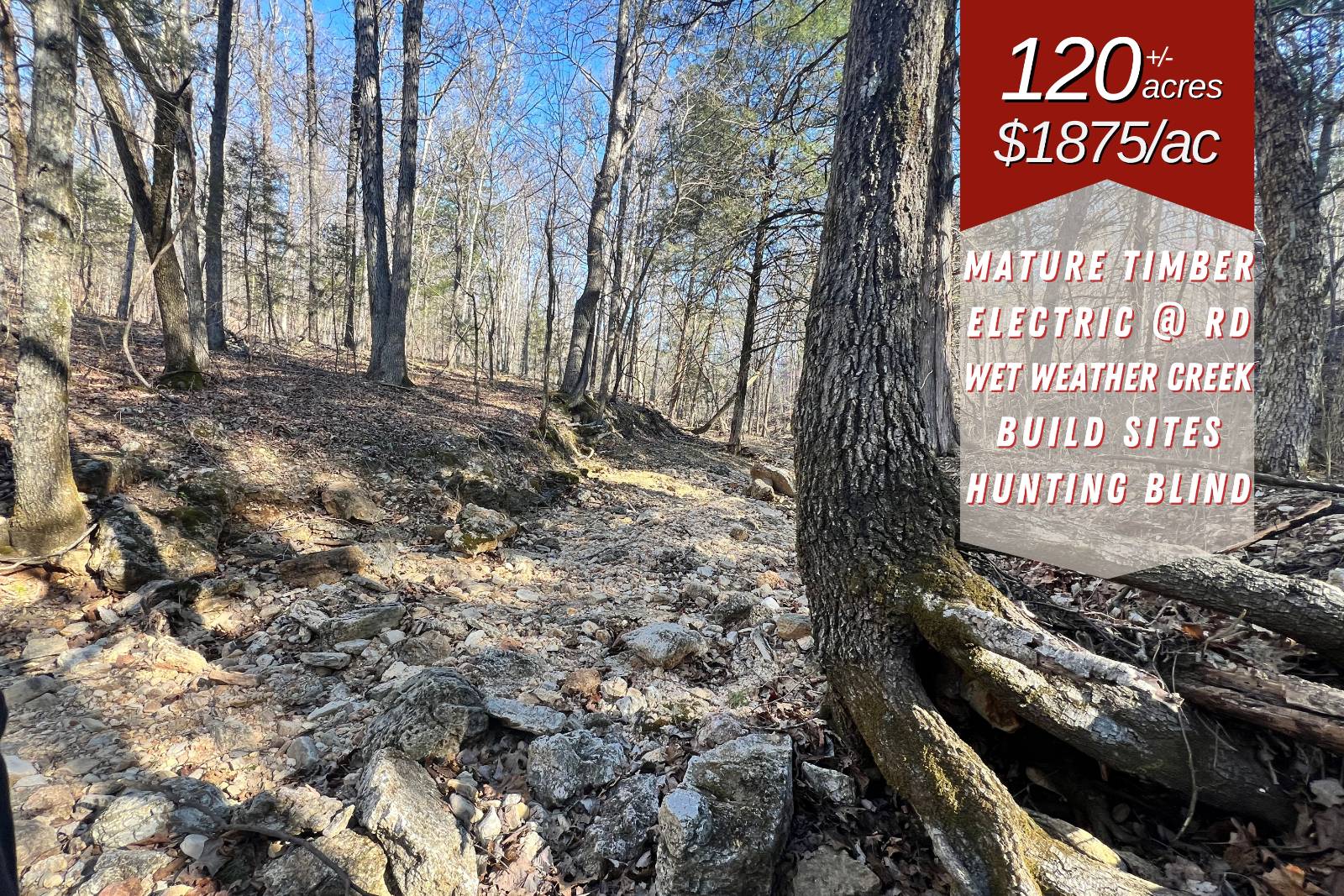 Red Cedar Land Company - Properstar CH