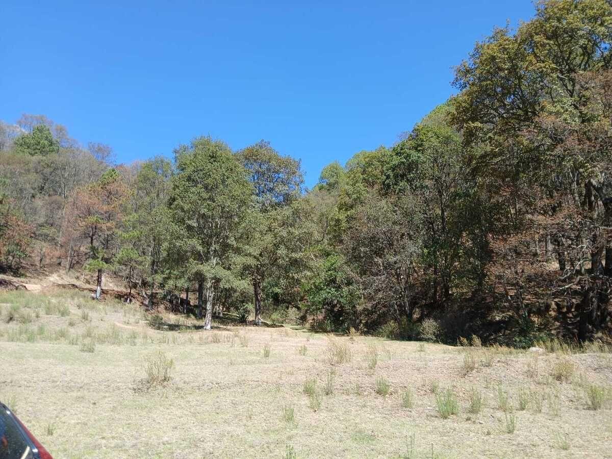 LAND FOR SALE IN VILLA DEL CARBON - Ciudad de Mexico, Corregir ...