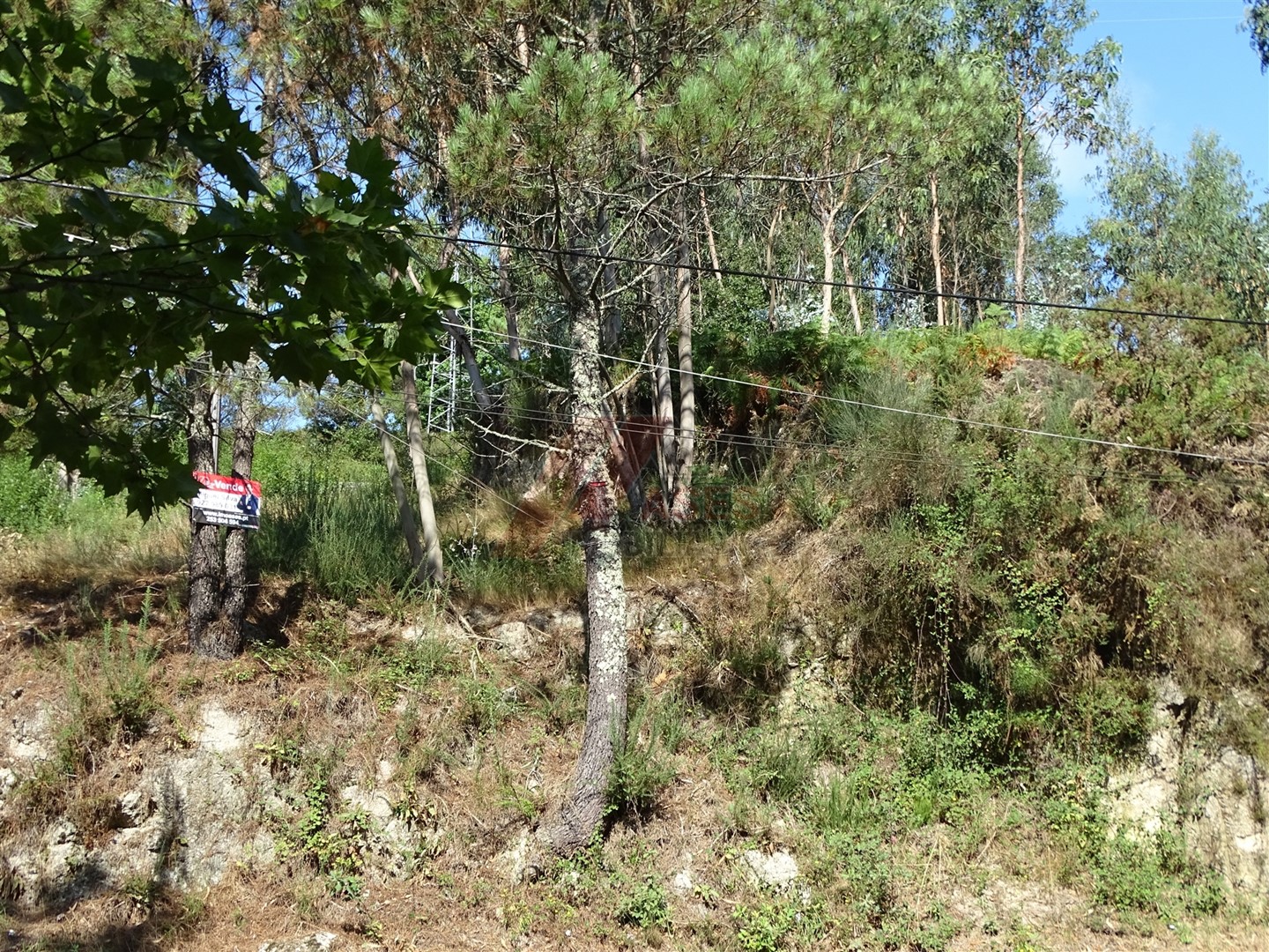 Braga, Fafe, Estorãos, Portugal, Fafe - Plot of land for sale - Properstar