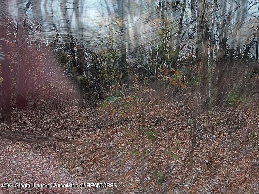 0 Beechwood Drive, 48895 Williamston - Plot of land for sale - Properstar