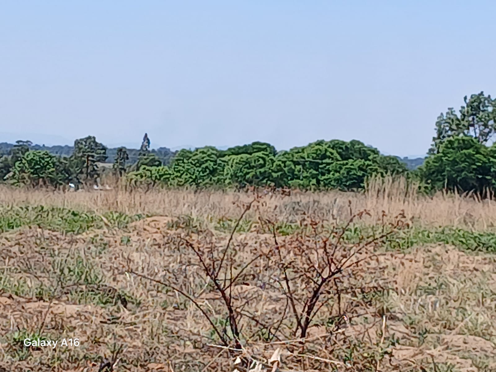 Stand massif 3587 m² à vendre à Vaalpark - 9570 Vaalpark, Sasolburg ...