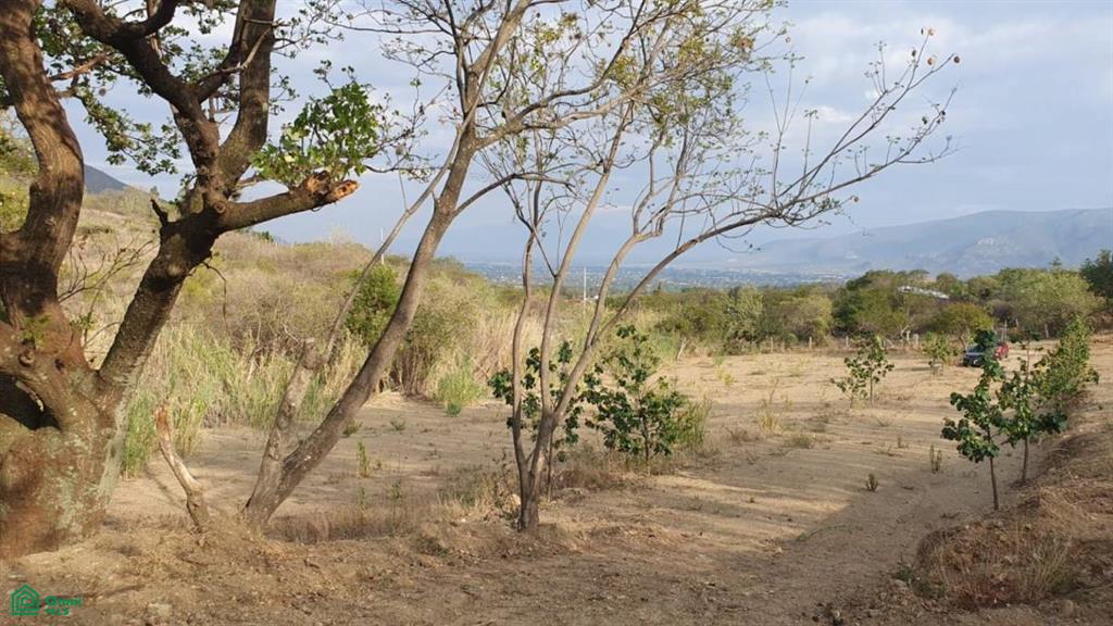 6 LOTS OF LAND FOR SALE IN HUAYAPAM OAXACA - San Andrés Huayapam, 68287 ...